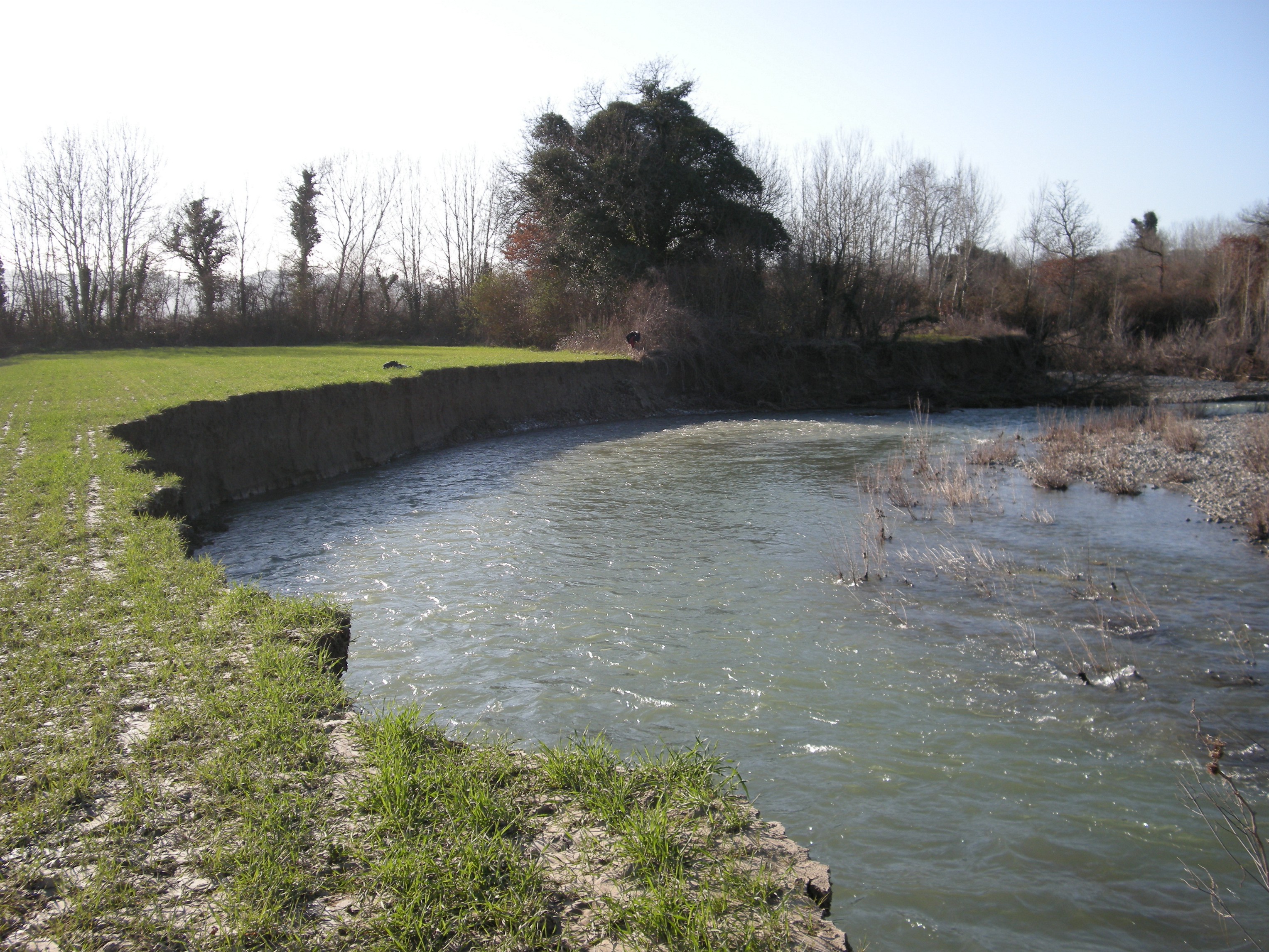 Cecina River - Italy | REFORM